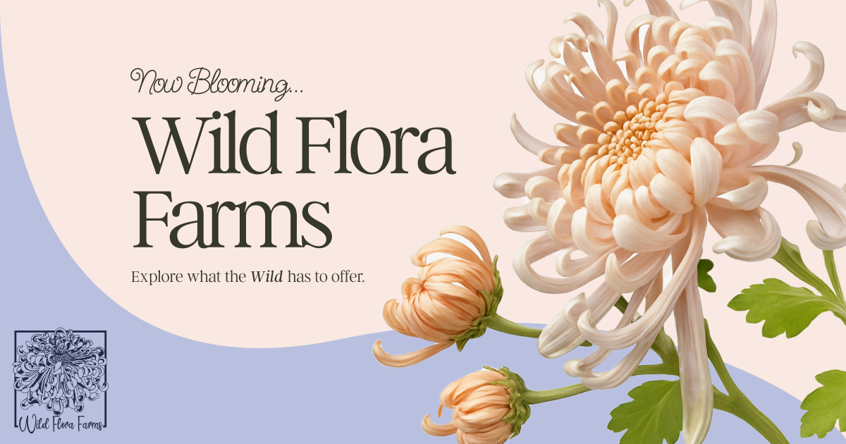 Wild Flora Farms | Now Blooming